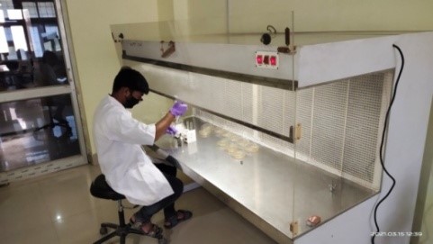 Department of Plant Pathology and Nematology - Dr. Rajendra Prasad ...