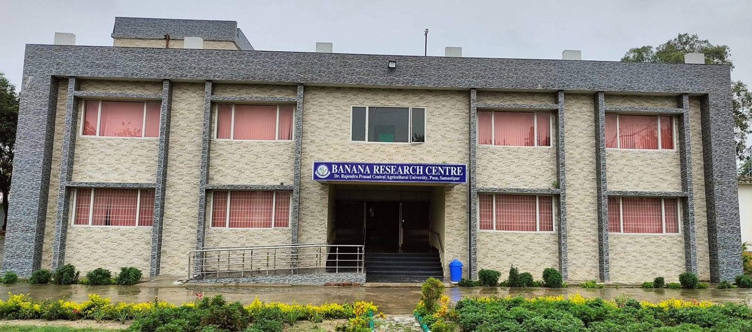 Banana Research Centre, Goraul, Vaishali - Dr. Rajendra Prasad Central ...