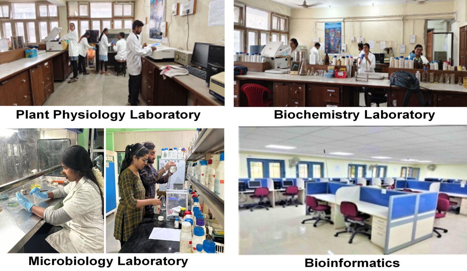 College of Basic Sciences & Humanities - Dr. Rajendra Prasad Central ...